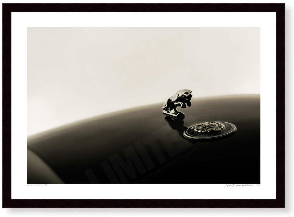 Jaguar XJS (detail) Leaping Bonnet Mascot Wall Art Print | Limited100